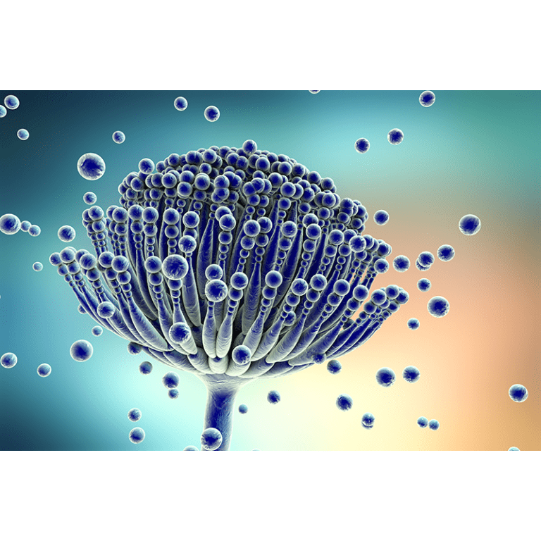 Mosaic Labs- MycoTOX urine test – The Mould Project