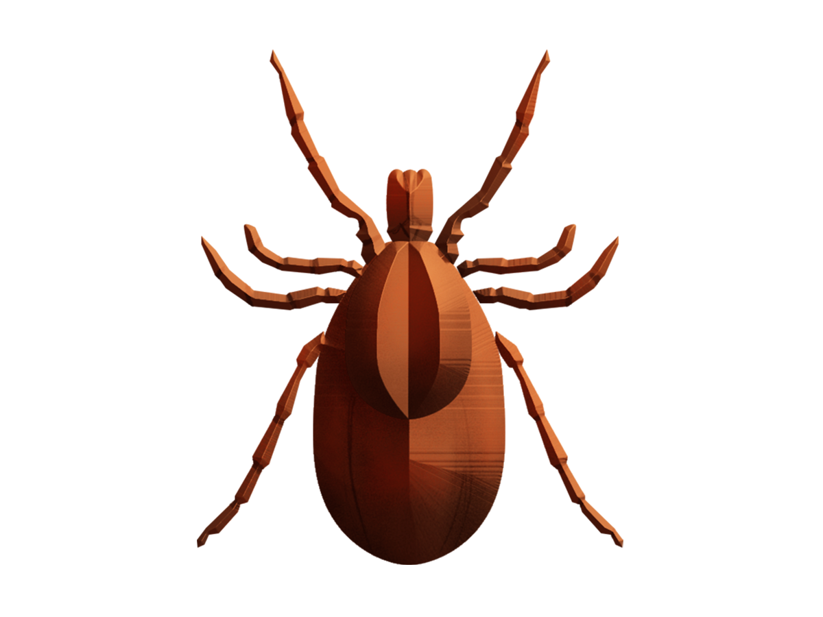 VIbrant Labs- Tickborne Complete 2.0 panel (excludes Lab fee_ – The ...